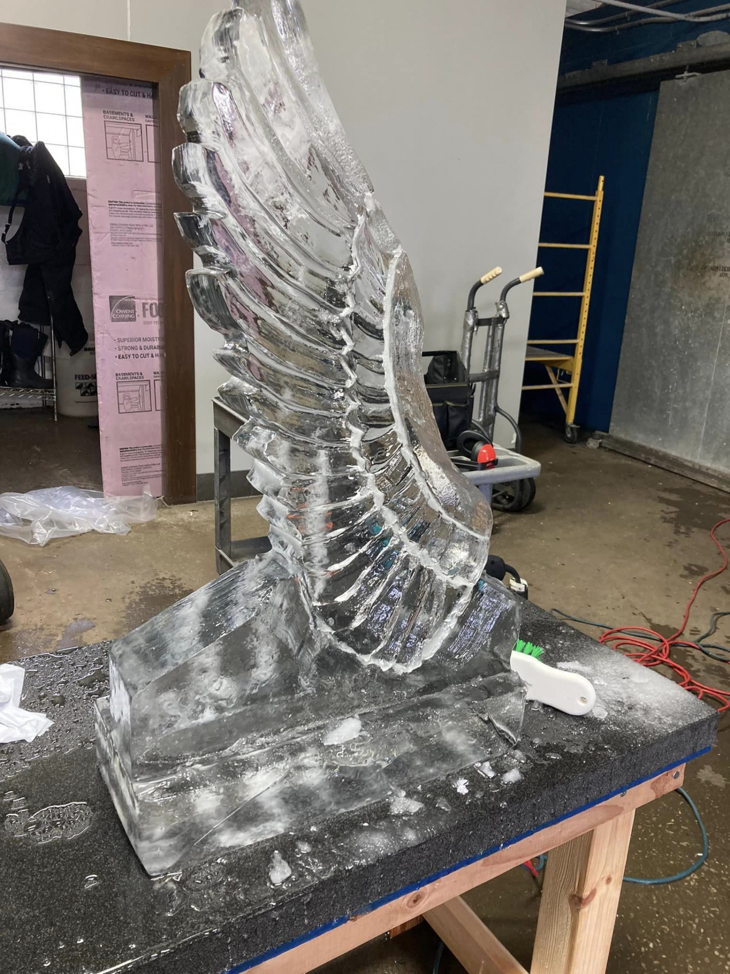 ACF Cleveland Chapter Inc - Photo Gallery